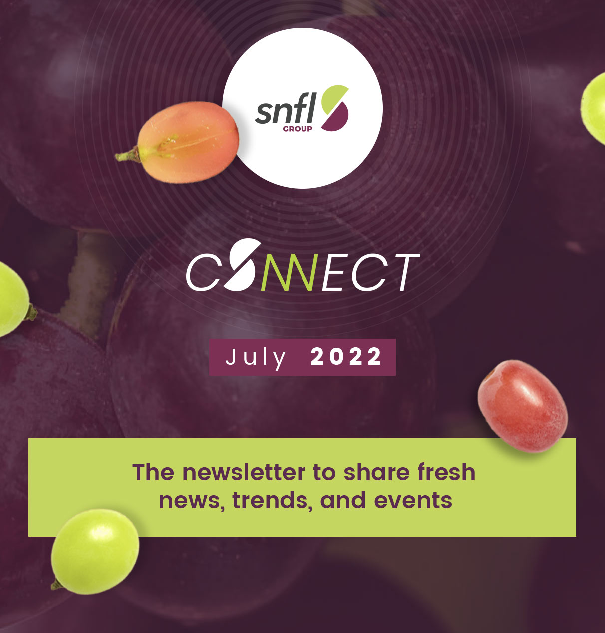 SNFL CoNNect July 2022 - SNFL Group