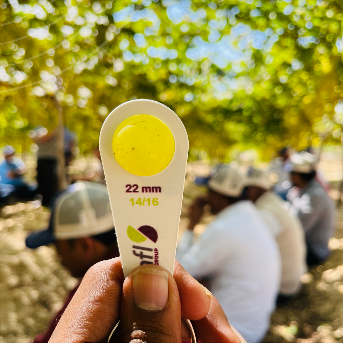 SNFL India Open Day - SNFL Group